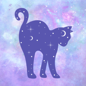 Claudia Sofia | Body Wisdom Decoder | Conscious Living & Multidimensional Revolution