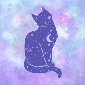 Claudia Sofia | Body Wisdom Decoder | Conscious Living & Multidimensional Revolution